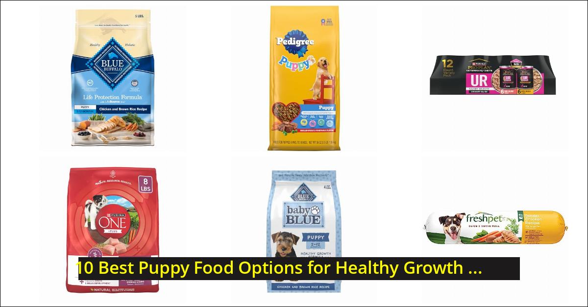 10 Best Puppy Food Options for Healthy Growth and Development - How to ...
